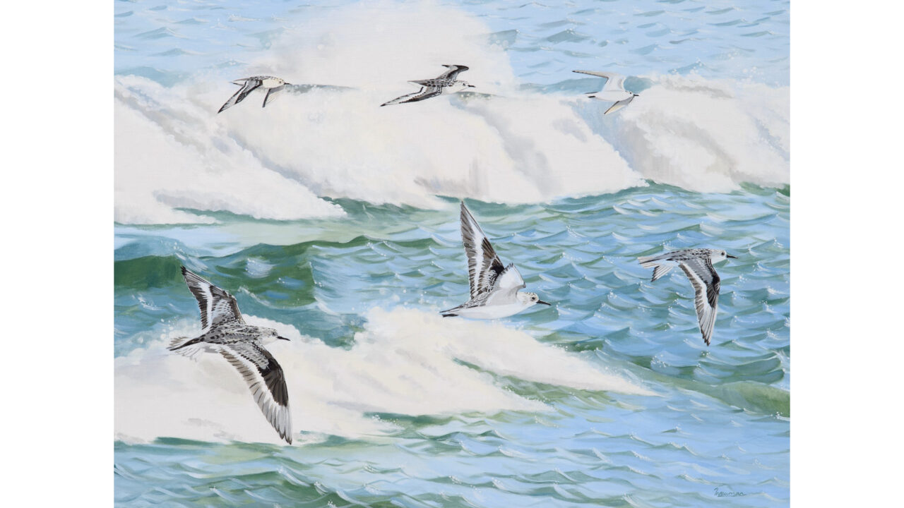 NR23 Art Group - Wells Maltings